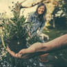 The Home Depot Return Policy in 2025: All You Must Know!